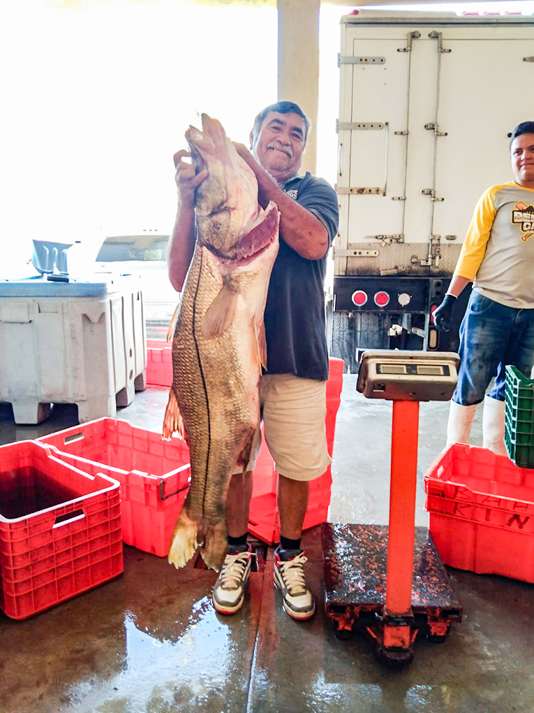 Eugene Fizzles...Fishing Sizzles - Baja Bytes Sportfishing Reports and ...